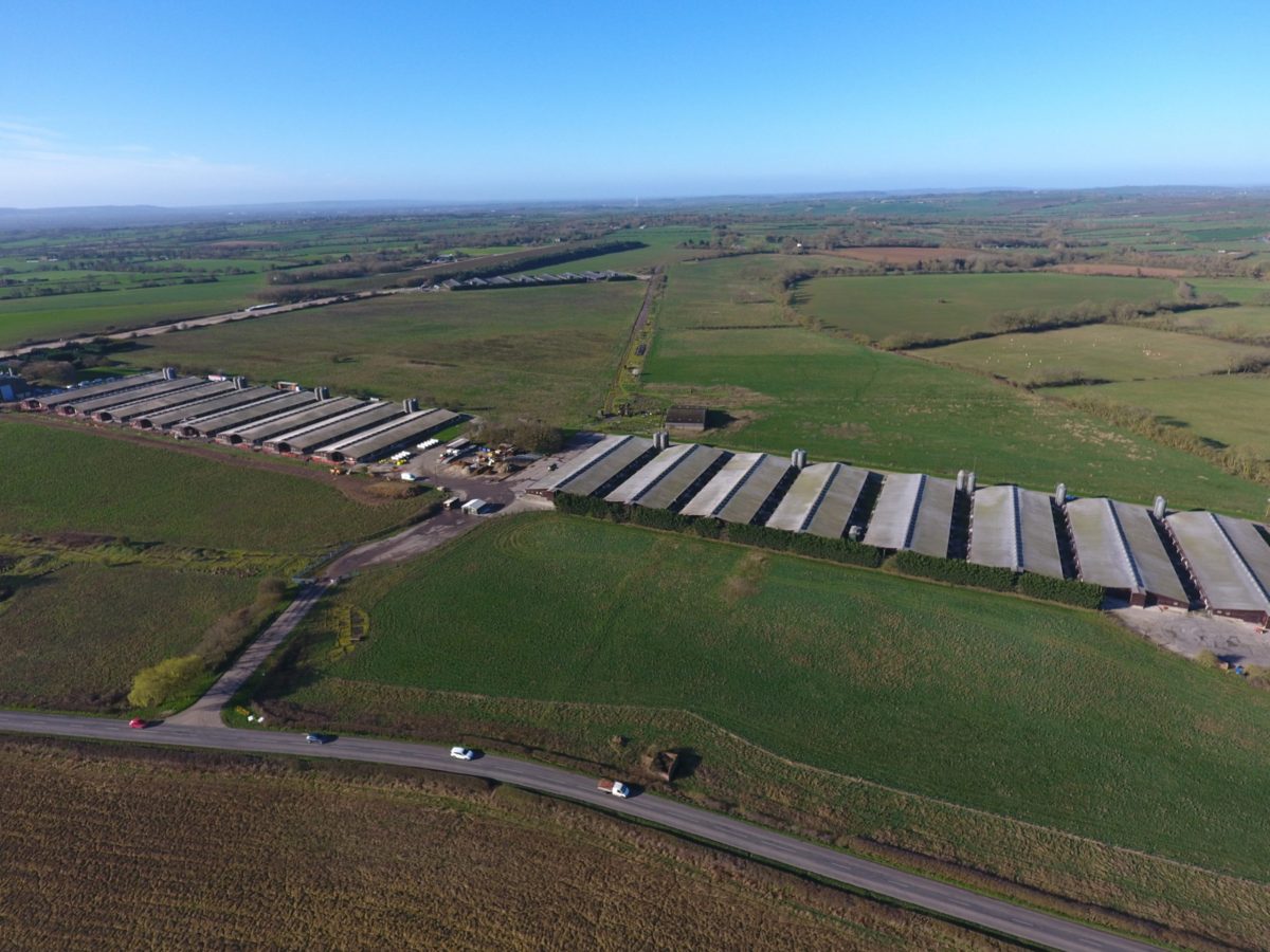 The rise of the megafarm | Ecostorm: the world's leading ethical ...